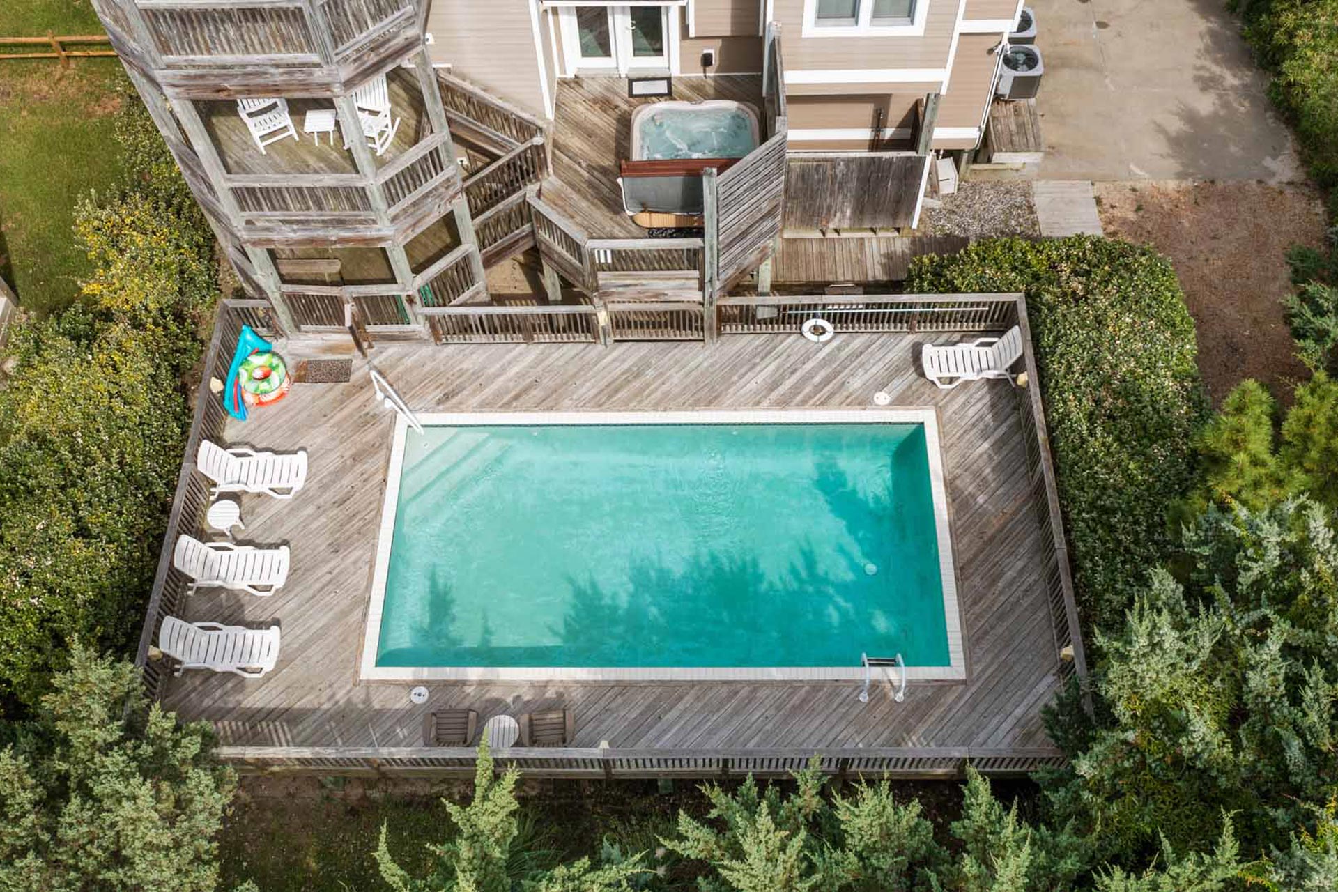 Sand Dollars - #700 | Surf or Sound