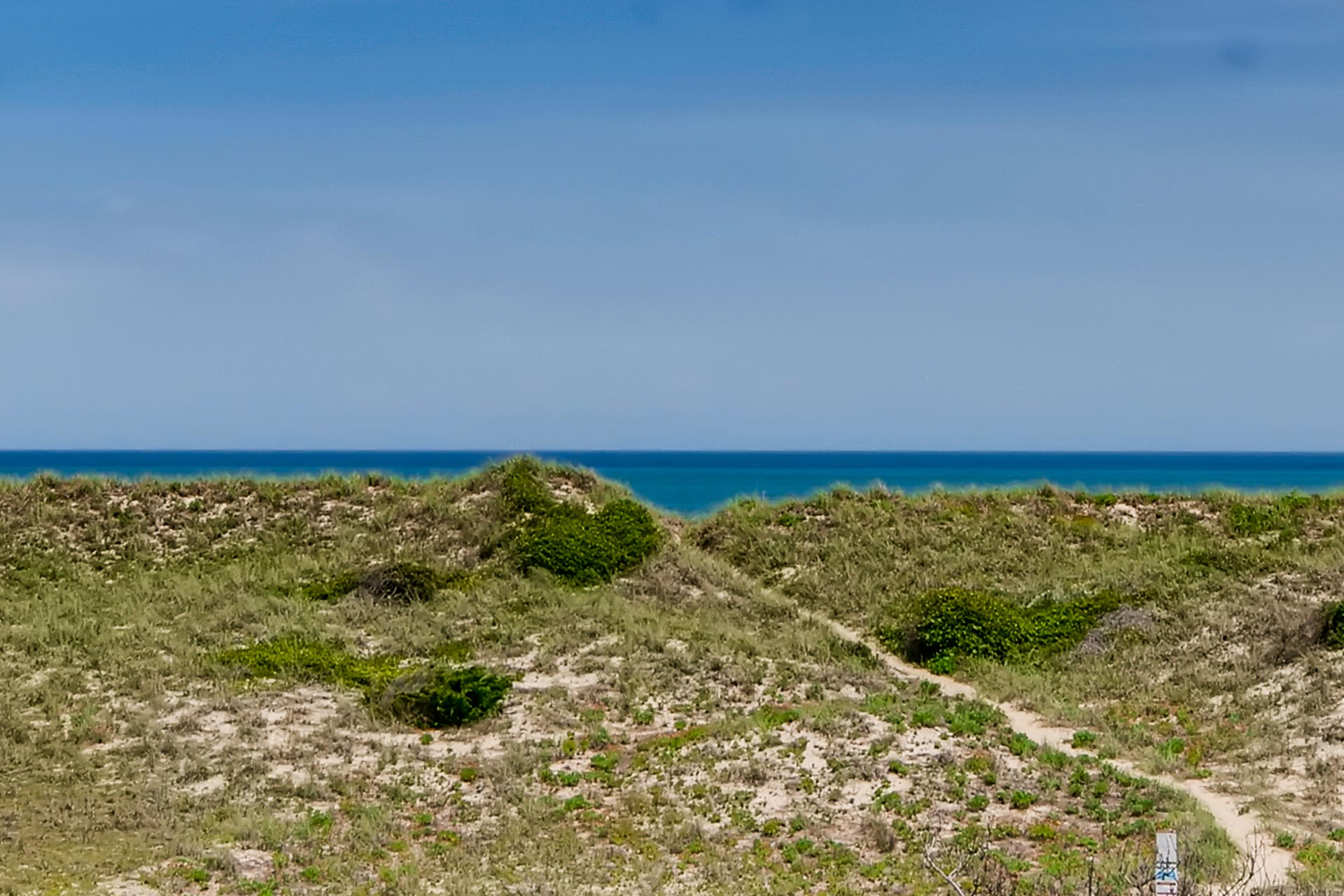Laughing Gull Landing - #675 | Surf or Sound