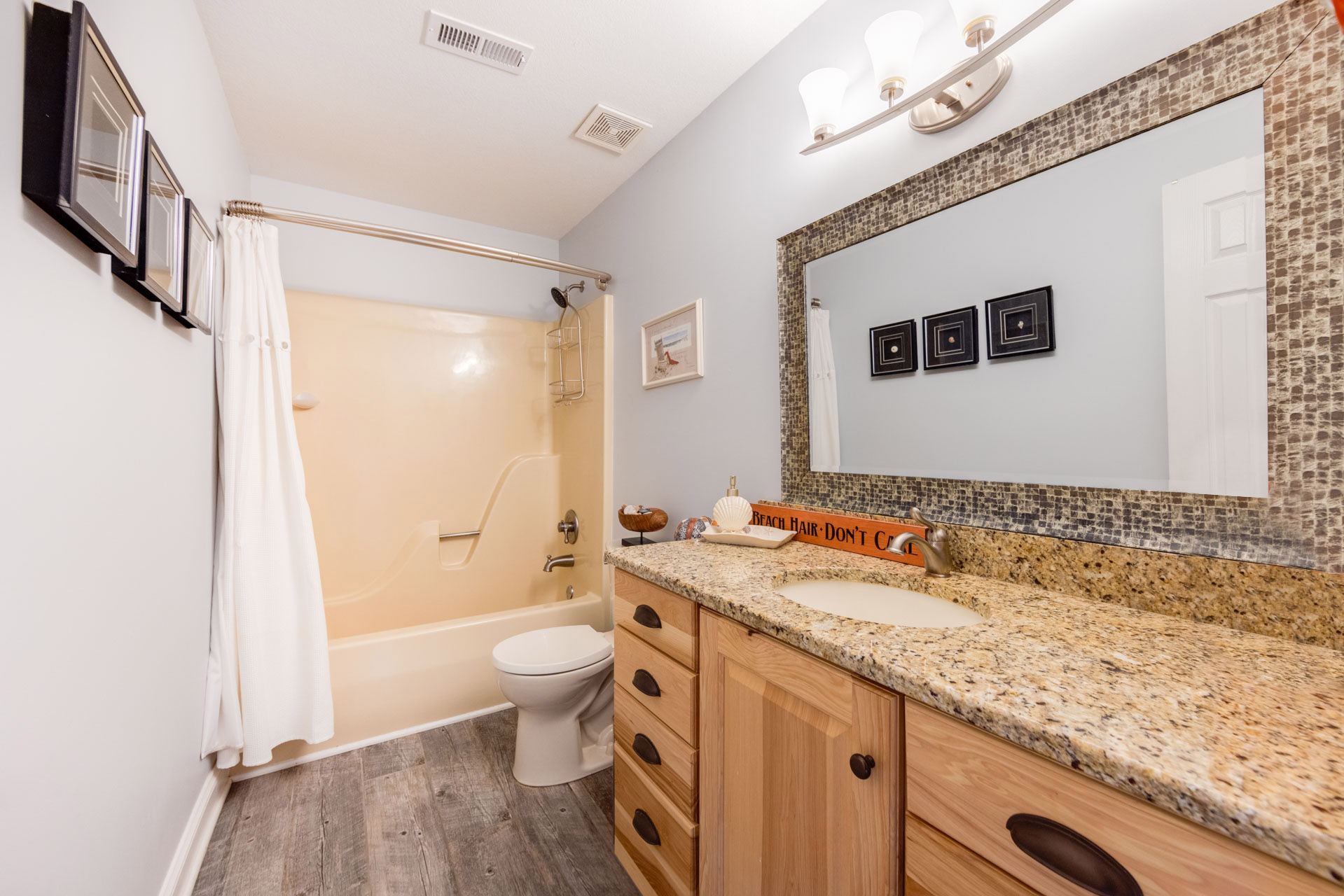 Jolly Mon - #1088 | Surf or Sound