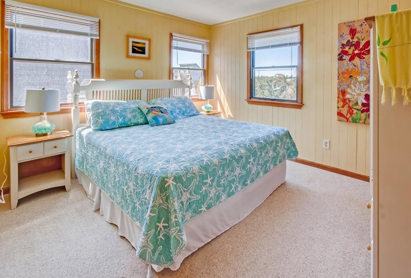 Life Aquatic - #882 | Surf or Sound