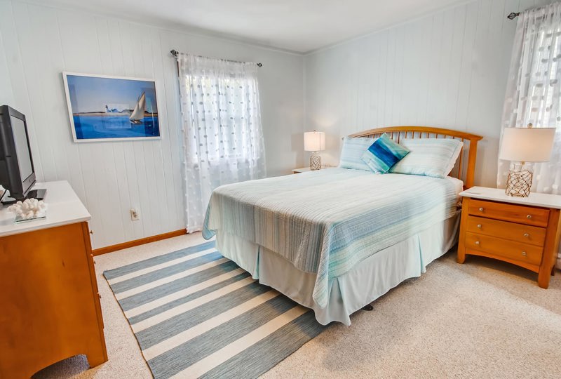 Life Aquatic - #882 | Surf or Sound