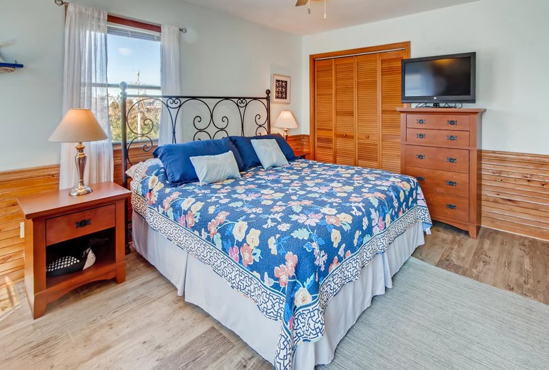 Life Aquatic - #882 | Surf or Sound