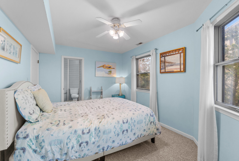 The Scruffy Pelican - #849 | Surf or Sound