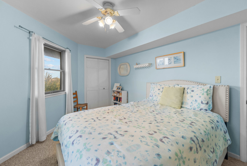 The Scruffy Pelican - #849 | Surf or Sound