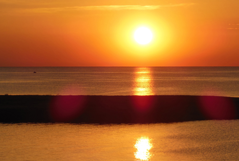 Happy Ours - #924 | Surf or Sound