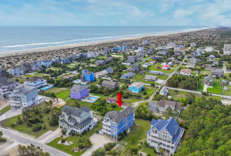 Squid Row - #988 | Surf or Sound