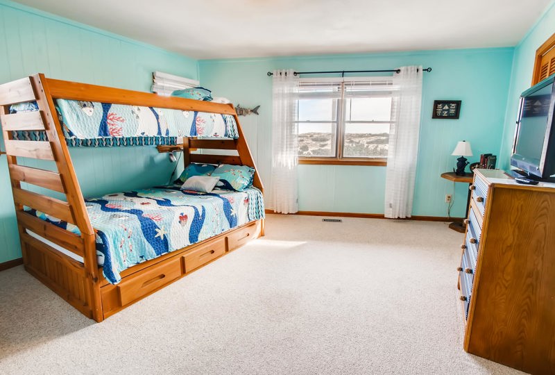 Life Aquatic - #882 | Surf or Sound