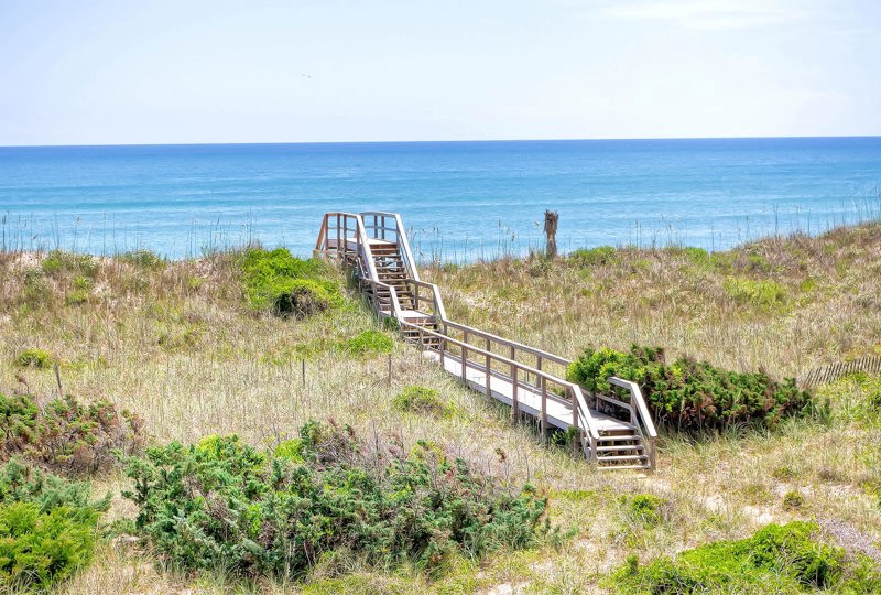 Surf's Up - #766 | Surf or Sound